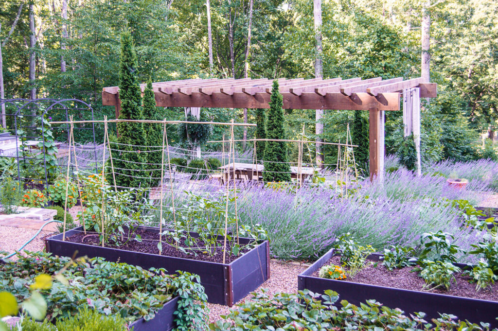 Swannanoa | Gardens for Living