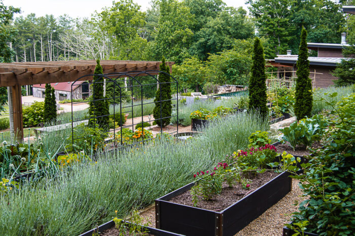 Swannanoa | Gardens for Living